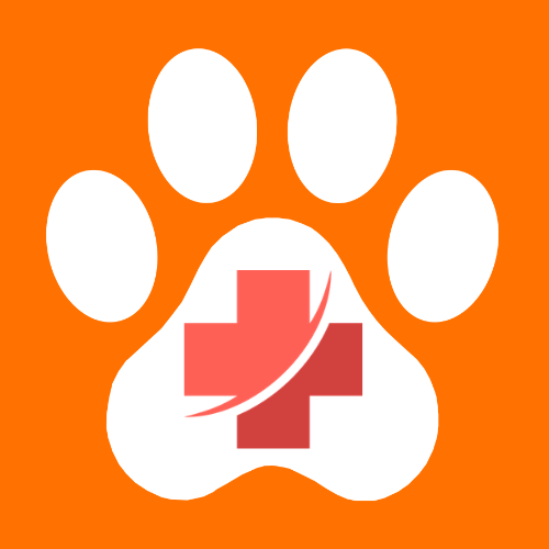 PetMeds India – Buy Pet Medicines | Trusted Pet Pharmacy